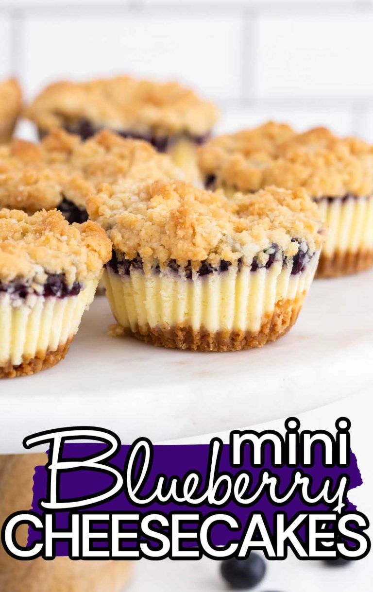 Mini Blueberry Cheesecake - Pass the Dessert