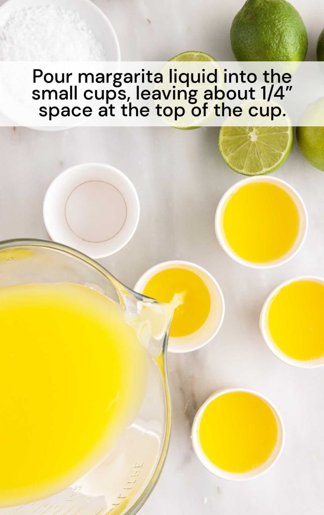 Margarita Popsicles - Pass the Dessert