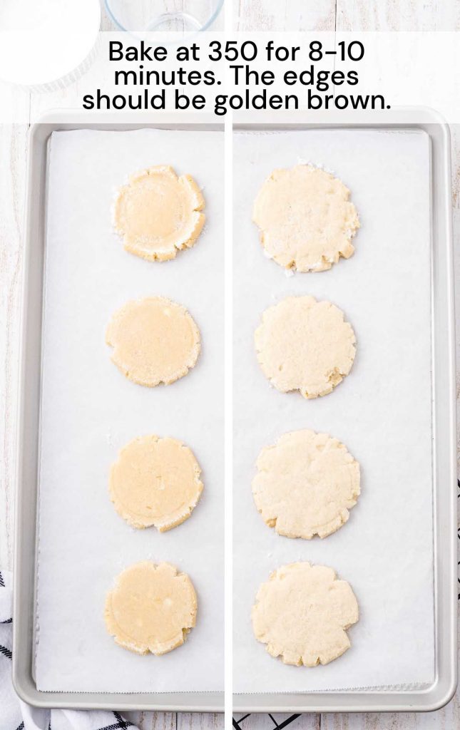 Swig Cookies - Pass the Dessert