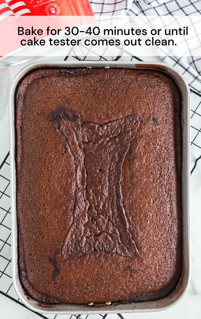 Busy Day Chocolate Cake - Pass the Dessert