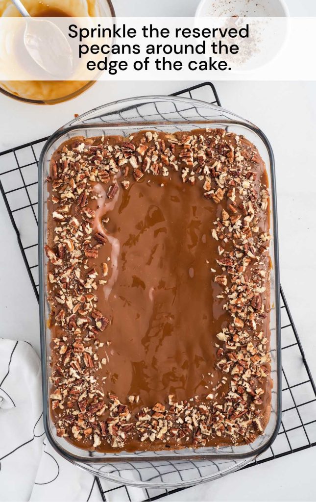 Apple Dapple Cake - Pass the Dessert