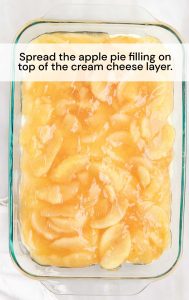 Apple Delight - Pass the Dessert
