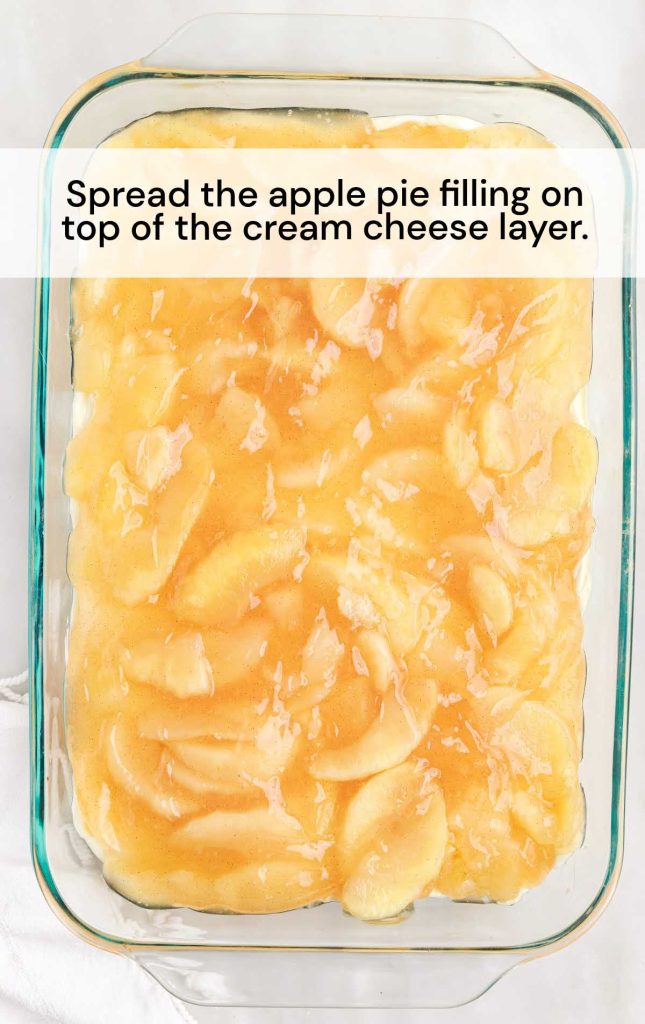 Apple Delight - Pass the Dessert