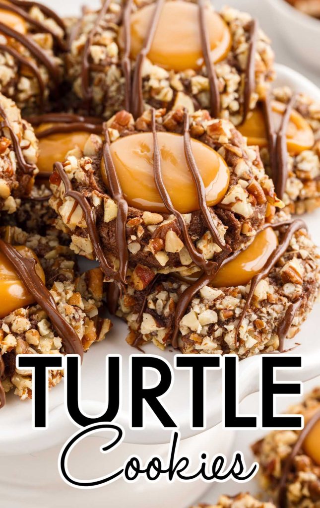Turtle Cookies - Pass the Dessert