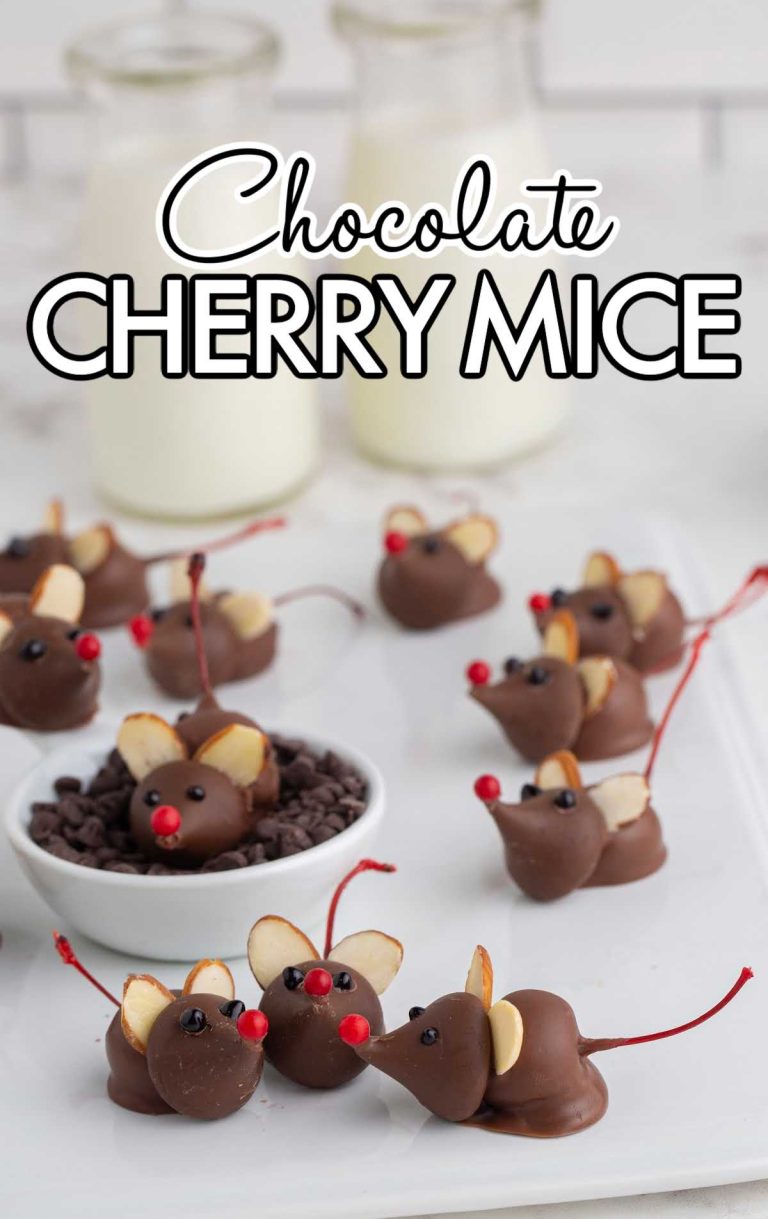 Chocolate Cherry Mice - Pass the Dessert