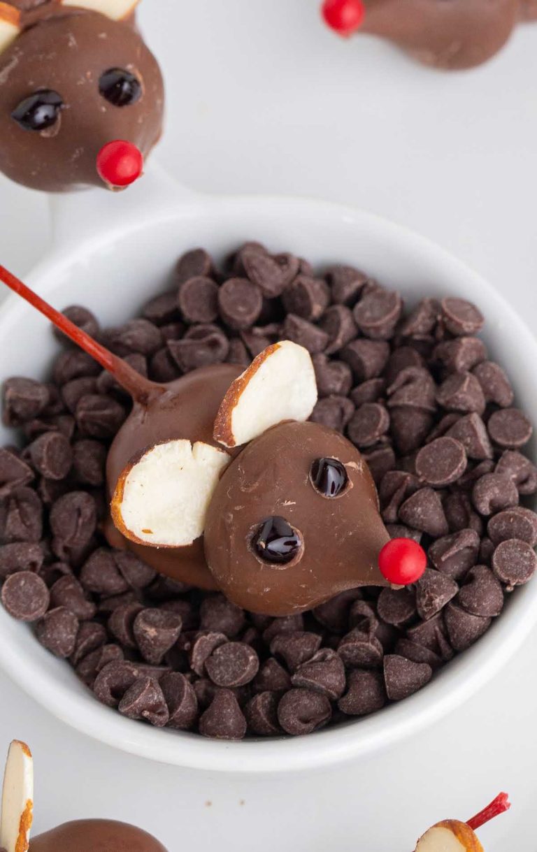 Chocolate Cherry Mice - Pass the Dessert