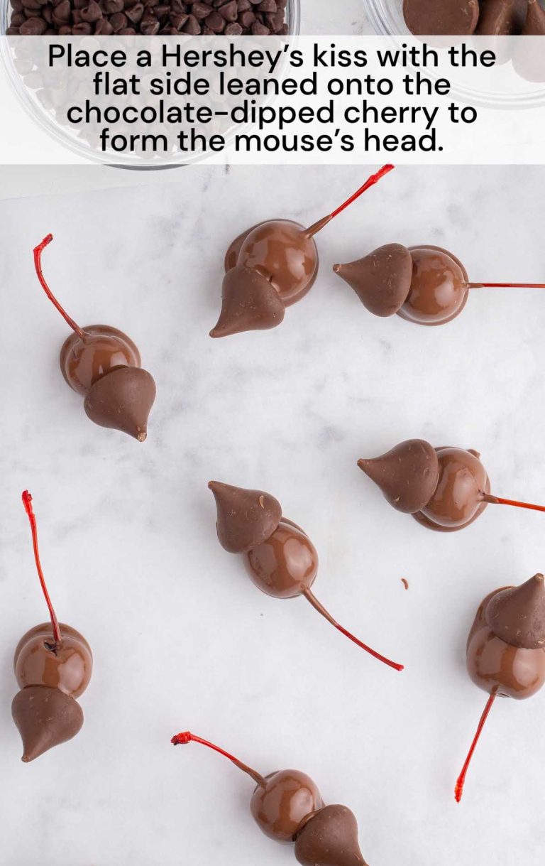 Chocolate Cherry Mice - Pass the Dessert